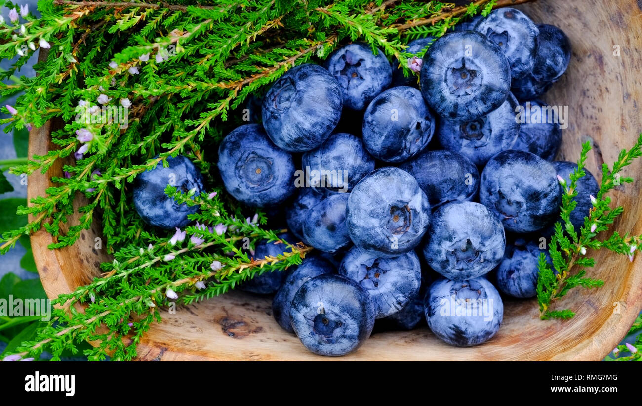 Blueberry Antioxidantien mit super Essen von Lappland. Antioxidantien ...