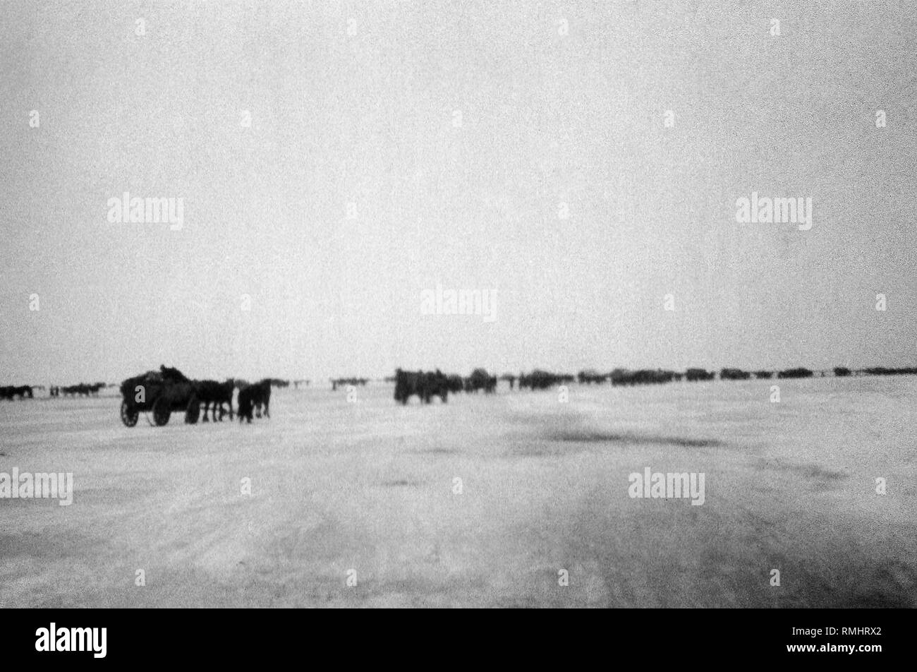 Beförderung von einer Wanderung auf dem Frischen Haff. Anfang Februar ...