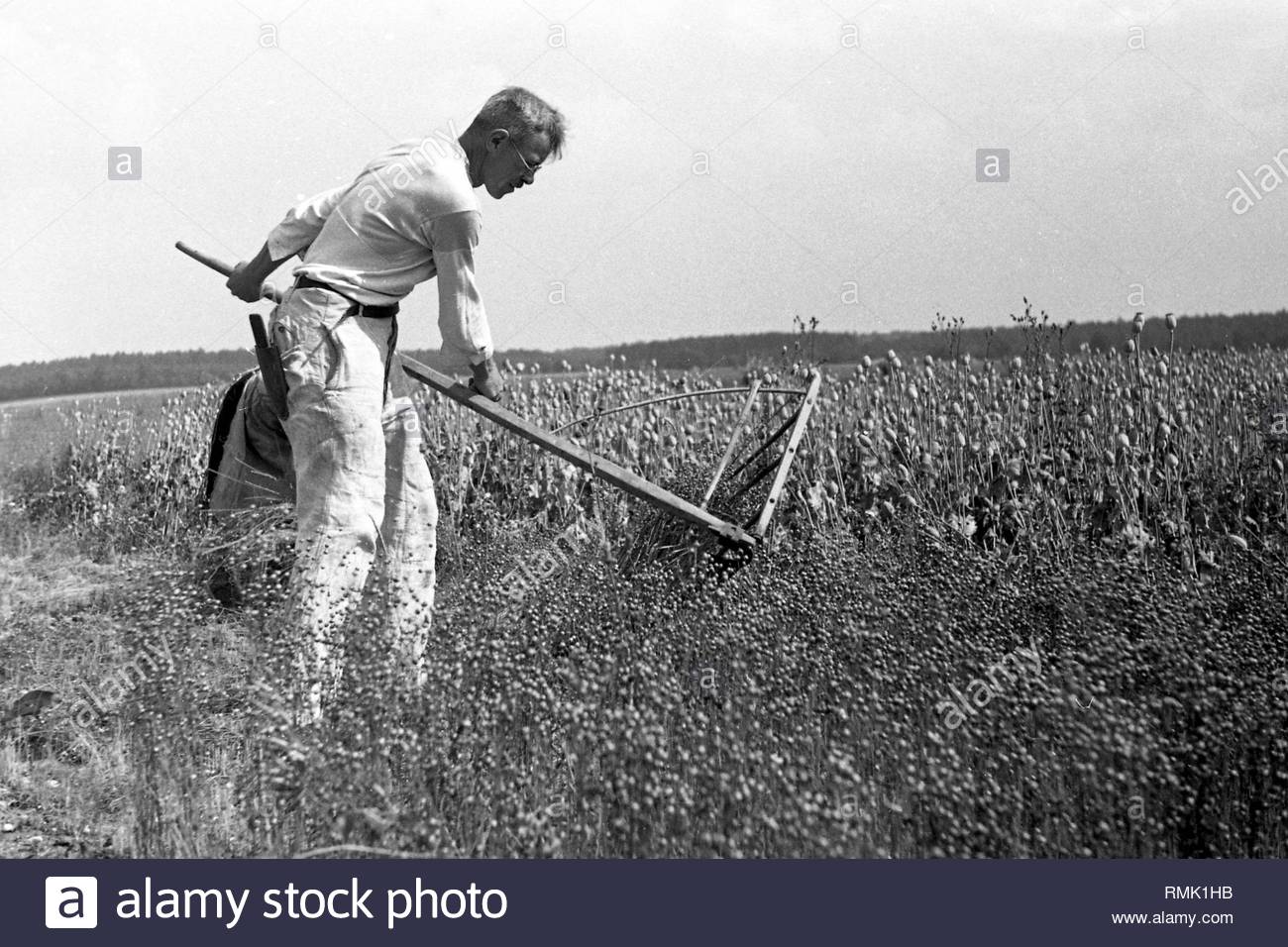 Ein Bauer Bei Der Ernte Mit Seiner Sense Im Feld Stockfotos & Ein Bauer ...