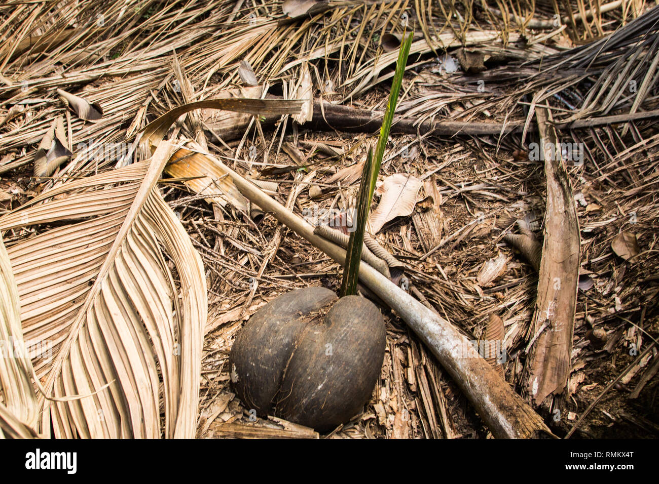 Eine der am meisten fotografierten strukturen der welt -Fotos und ...