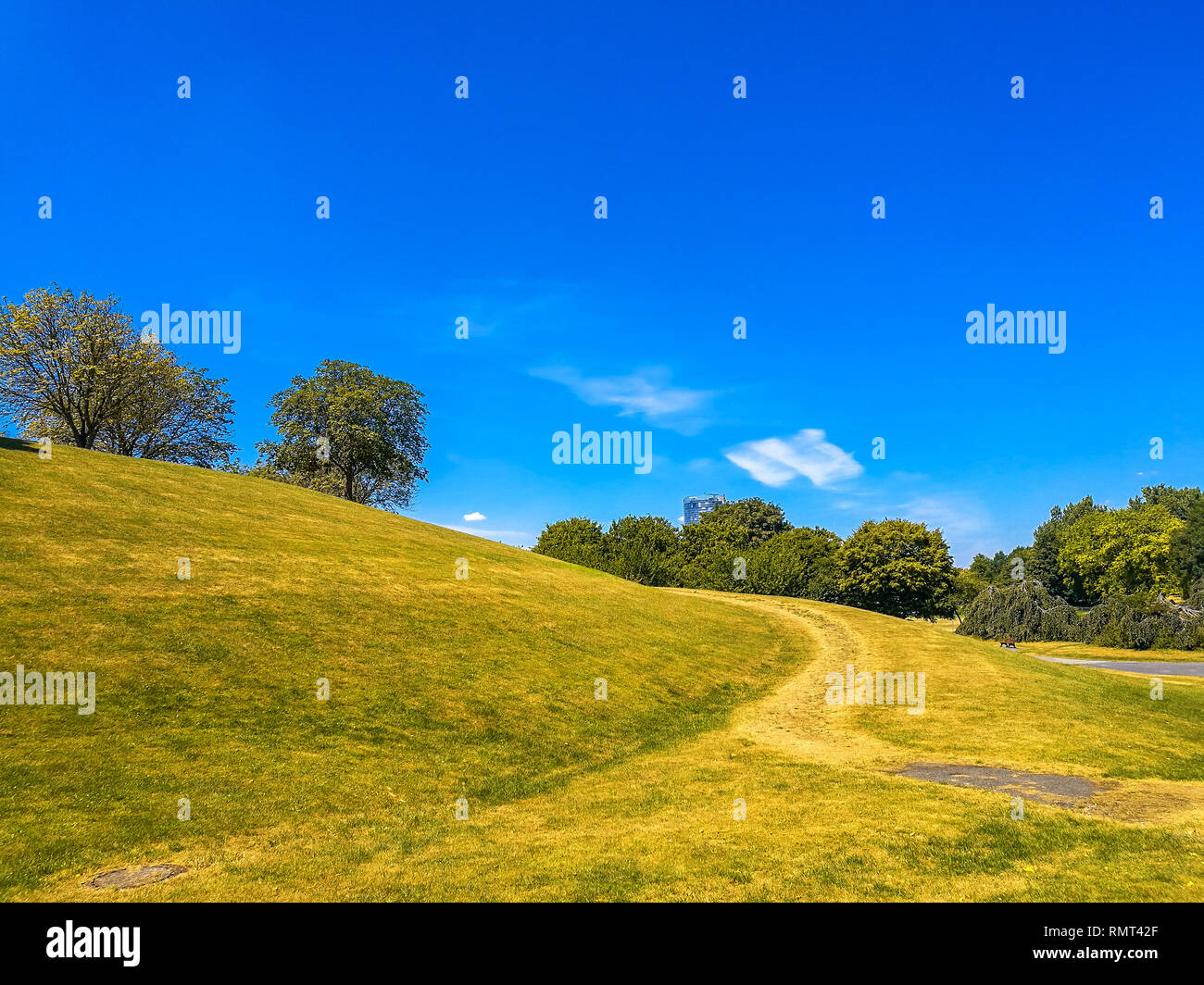 Rheinaue bonn -Fotos und -Bildmaterial in hoher Auflösung – Alamy