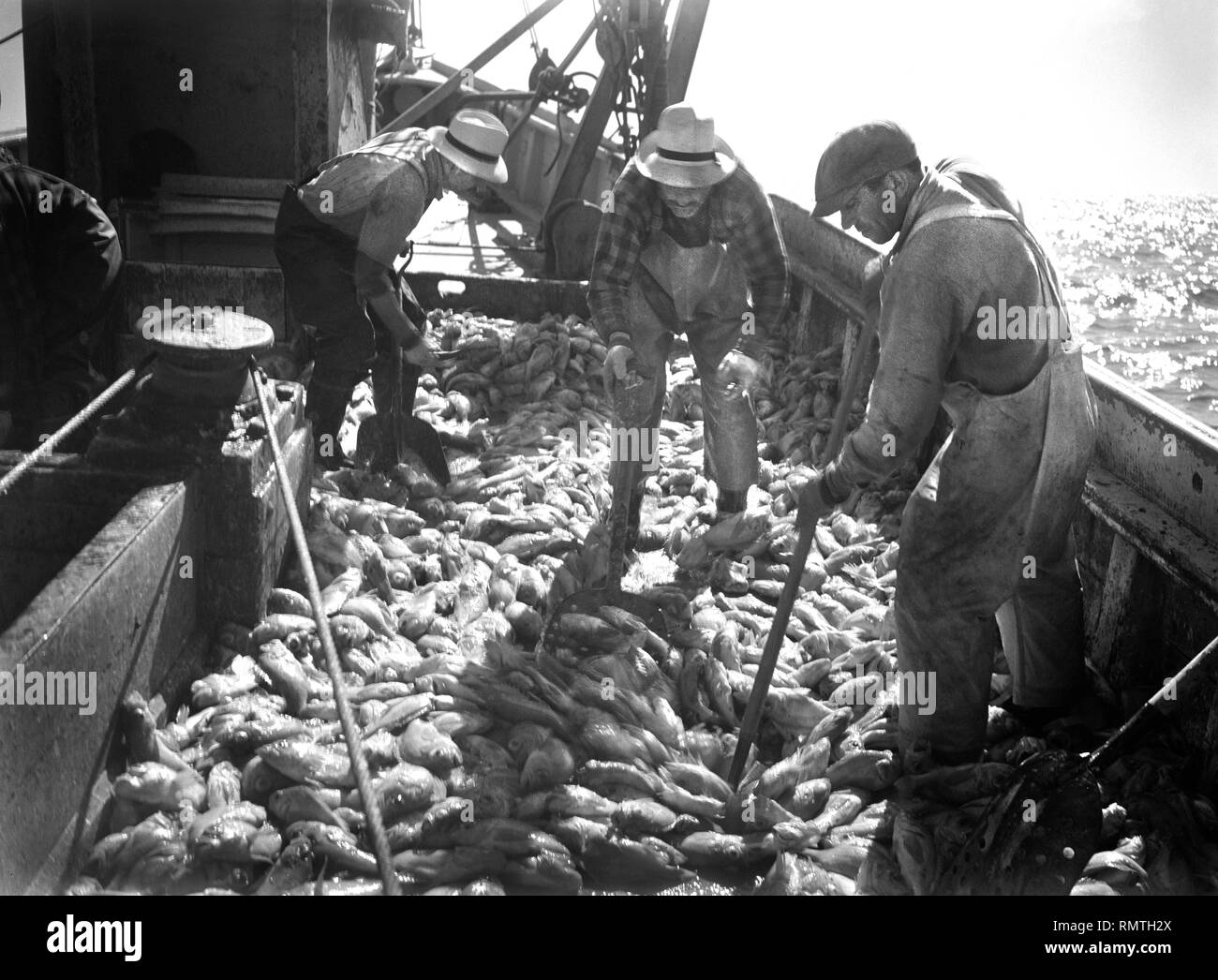 Historische fischer -Fotos und -Bildmaterial in hoher Auflösung – Alamy