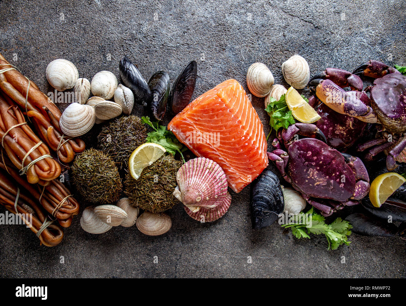 Zaops Ostreus Stockfotos und -bilder Kaufen - Alamy