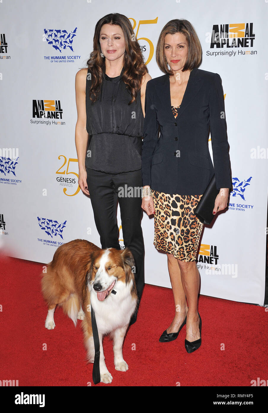 People from the cast posing together -Fotos und -Bildmaterial in hoher ...