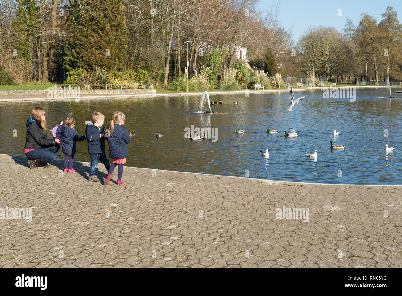 Enten kinder -Fotos und -Bildmaterial in hoher Auflösung – Alamy