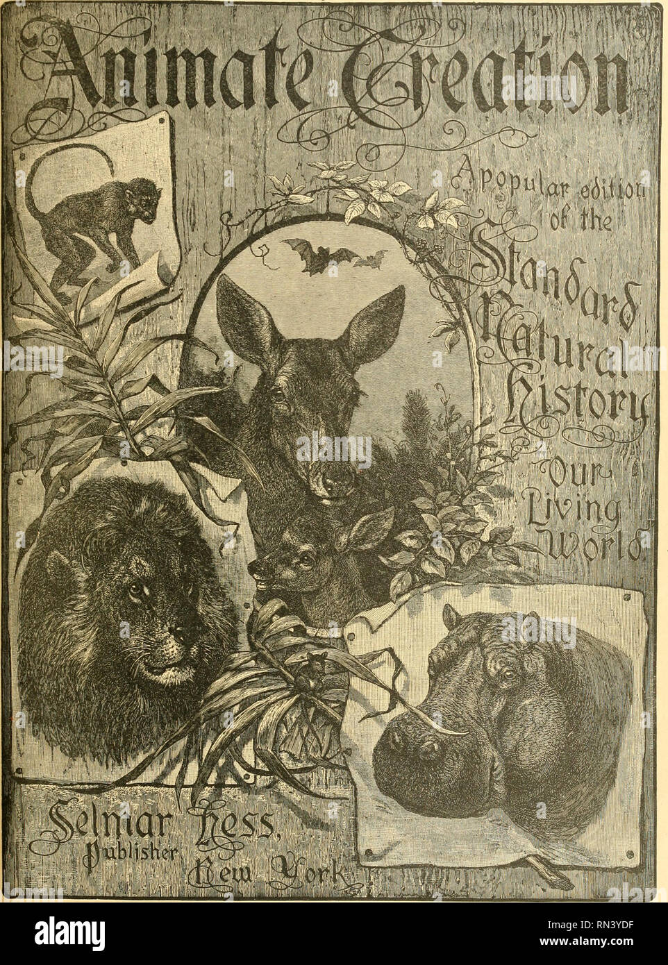 . Animate Creation: beliebte Ausgabe von "unsere Welt": eine natürliche ...