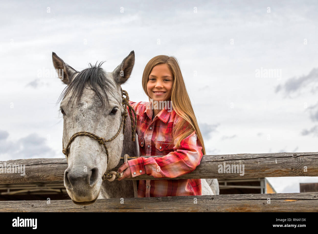 Aussehen des pferdes -Fotos und -Bildmaterial in hoher Auflösung – Alamy