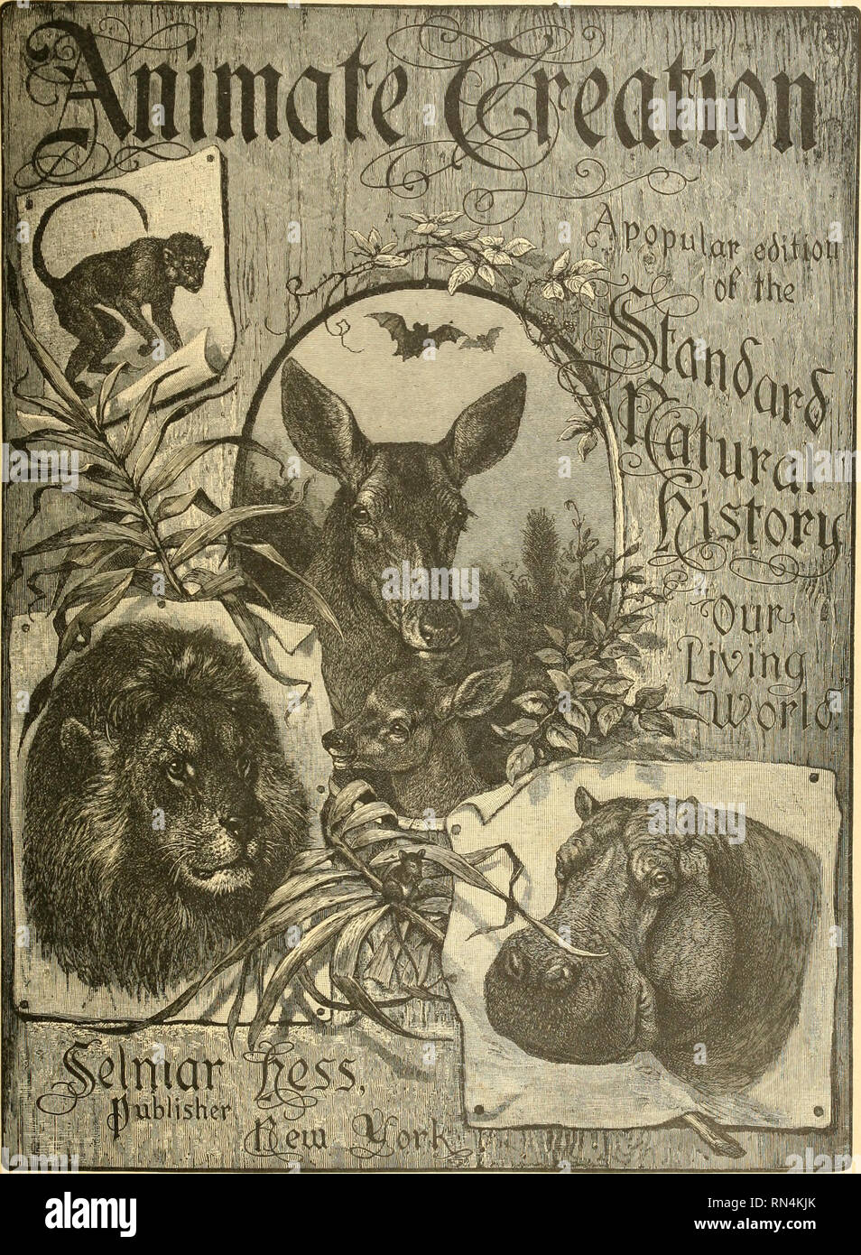 . Animate Creation: beliebte Ausgabe von "unsere Welt": eine natürliche ...