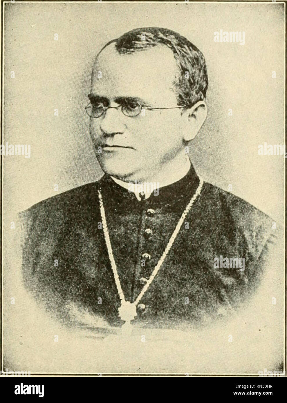 Gregor johann mendel 1822 1884 -Fotos und -Bildmaterial in hoher ...