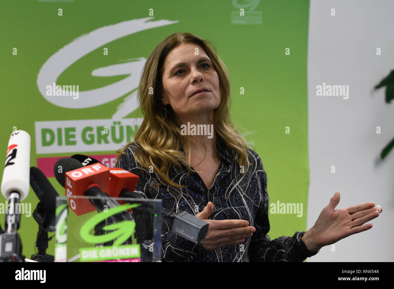 Wien, Österreich. 17. Februar 2019 Pressekonferenz der Grünen Partei ...