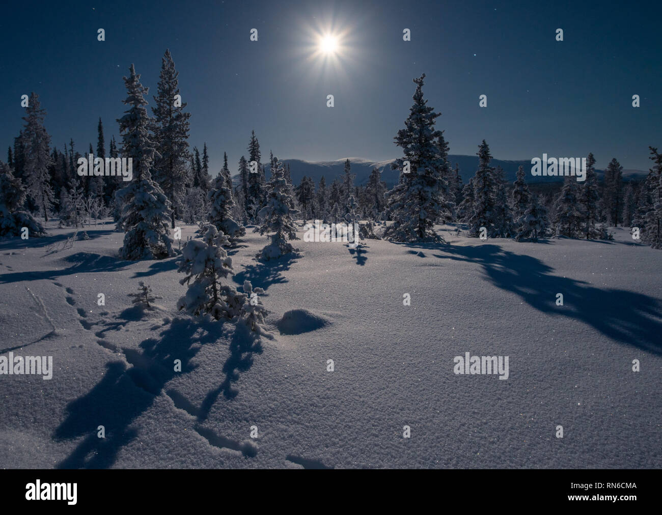 Pallastunturi fiel fielen -Fotos und -Bildmaterial in hoher Auflösung ...