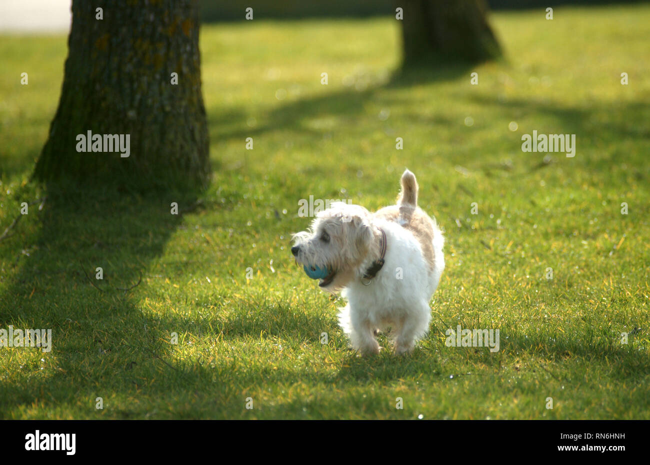 Die lucas familie -Fotos und -Bildmaterial in hoher Auflösung – Alamy