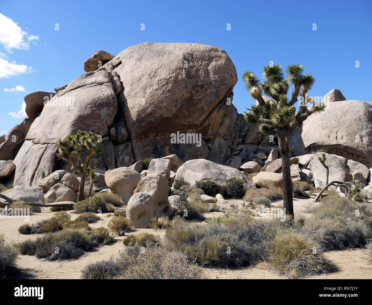 Joshua land -Fotos und -Bildmaterial in hoher Auflösung – Alamy
