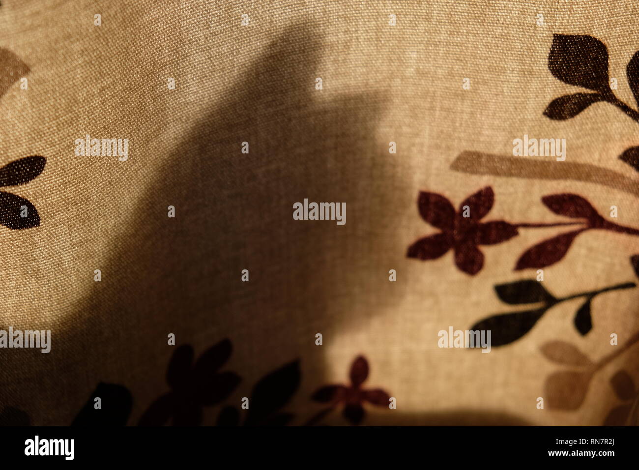 Katzen silhouette -Fotos und -Bildmaterial in hoher Auflösung – Alamy