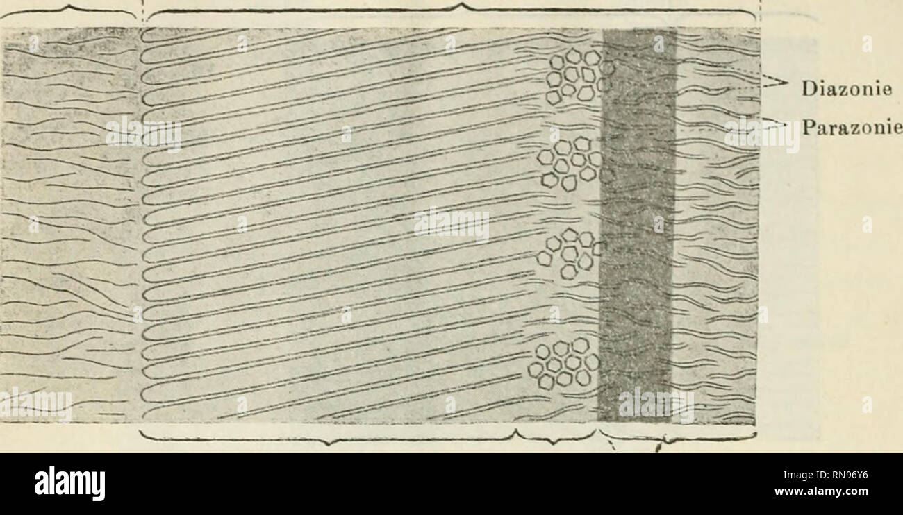 Das baue -Fotos und -Bildmaterial in hoher Auflösung – Alamy