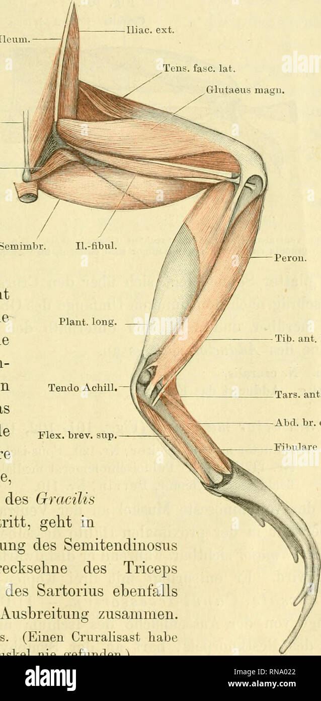 M sartorius -Fotos und -Bildmaterial in hoher Auflösung – Alamy