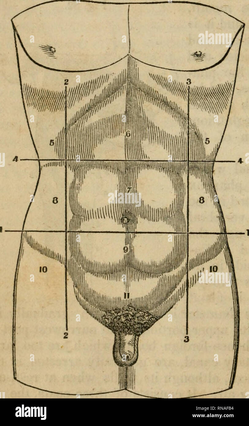 . Eine analytische Kompendium der verschiedenen Zweige der ...