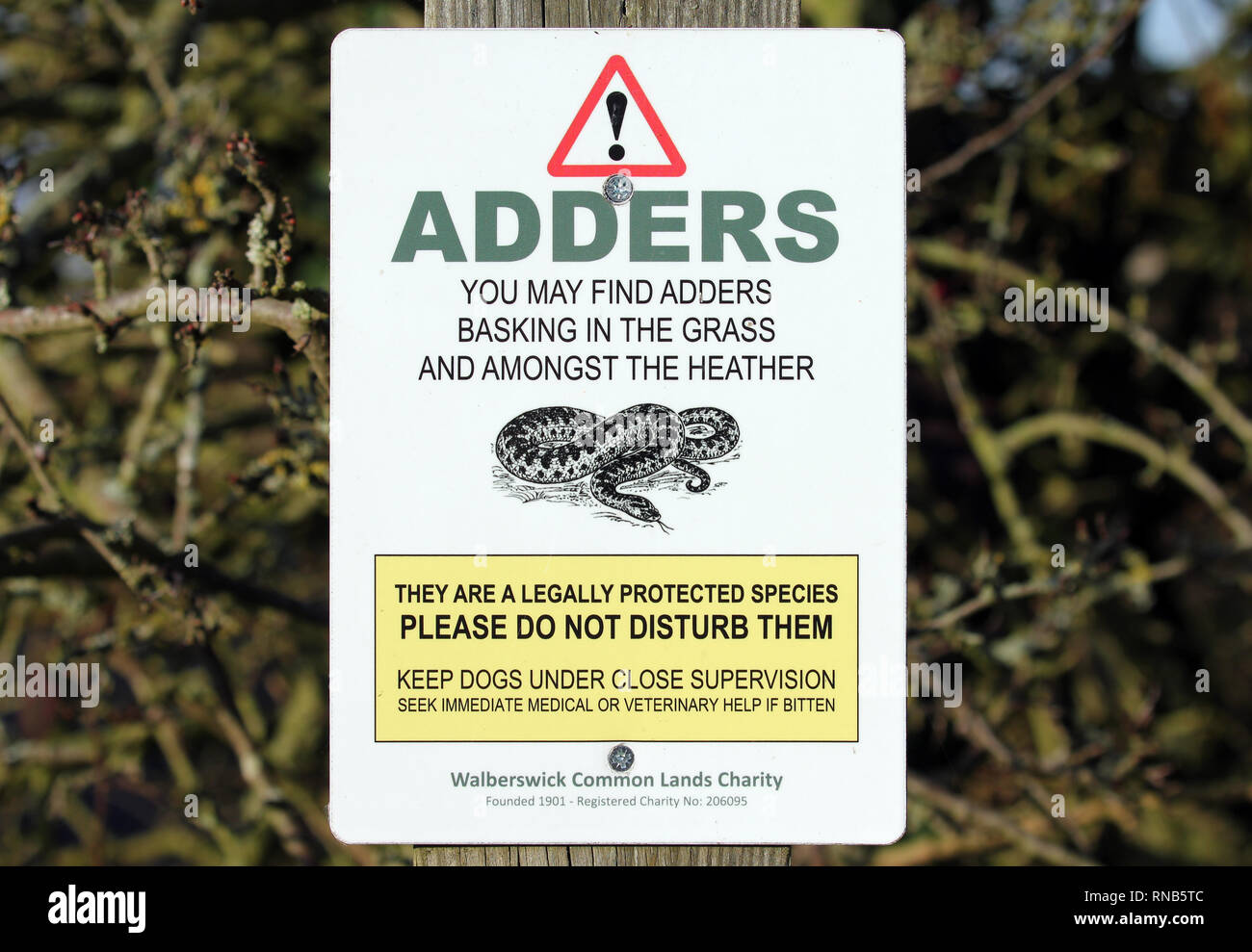Adder warning sign -Fotos und -Bildmaterial in hoher Auflösung – Alamy
