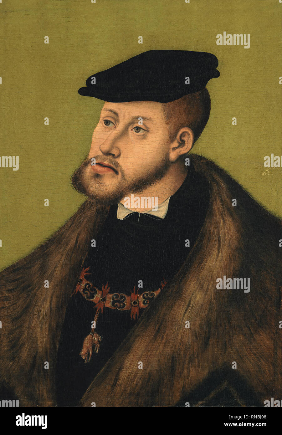 Kaiser heiliges römisches reich karl v -Fotos und -Bildmaterial in ...