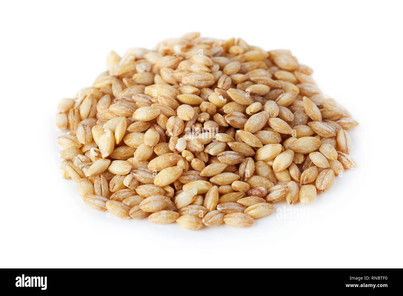 Gerstenkorn hordeum vulgare -Fotos und -Bildmaterial in hoher Auflösung ...