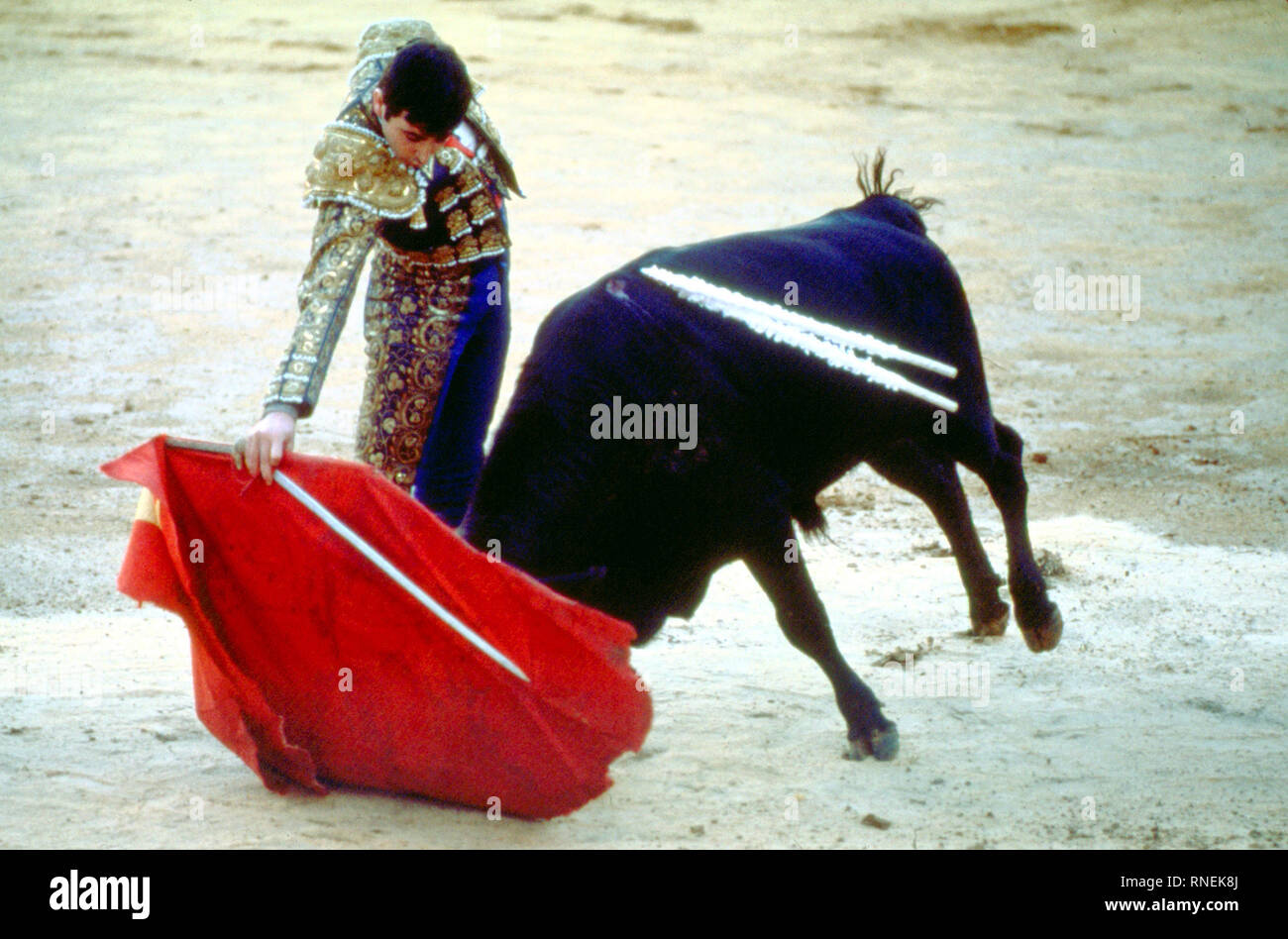 Archiv stierkampf -Fotos und -Bildmaterial in hoher Auflösung – Alamy