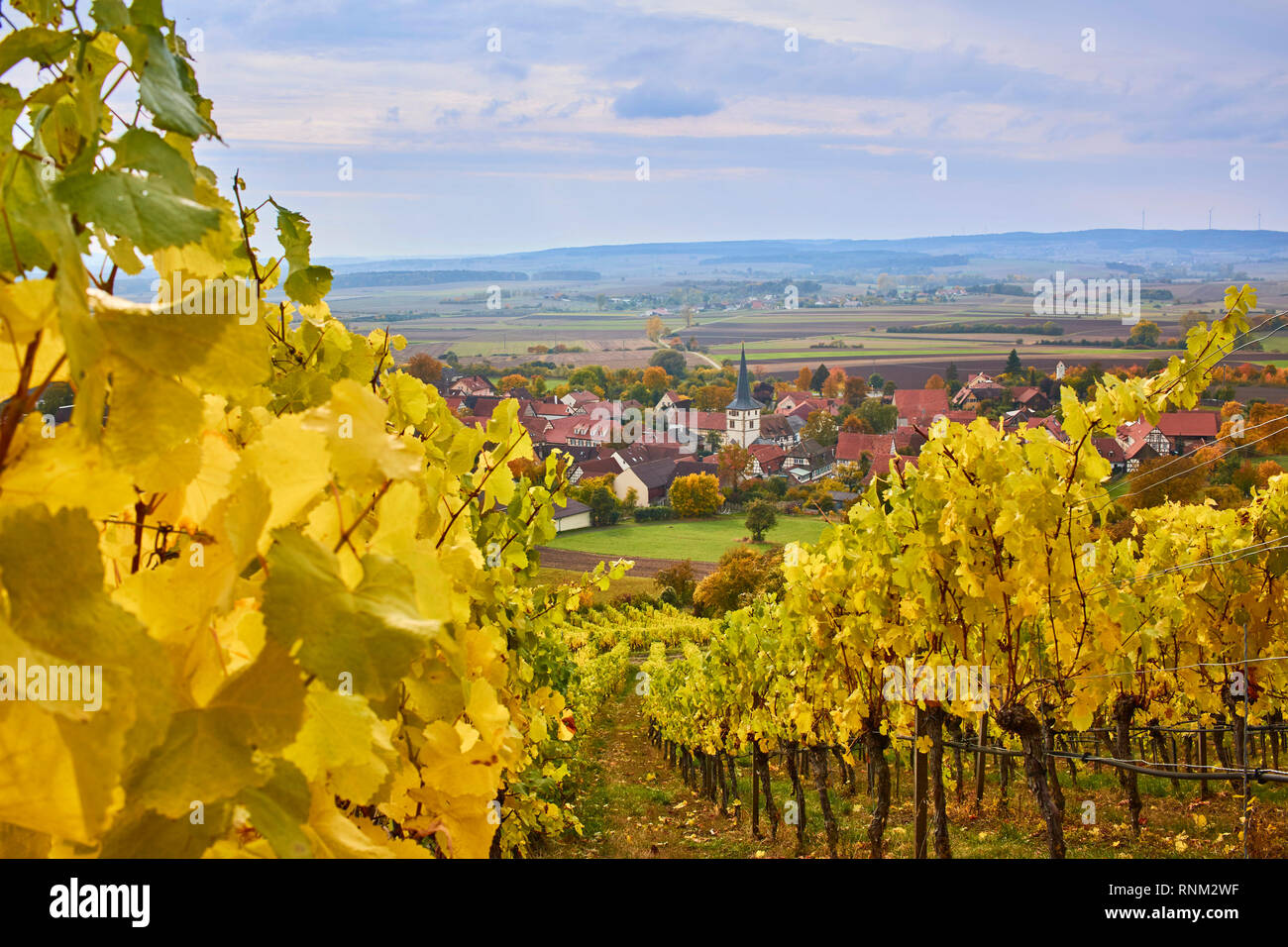 Germany weinberg -Fotos und -Bildmaterial in hoher Auflösung – Alamy