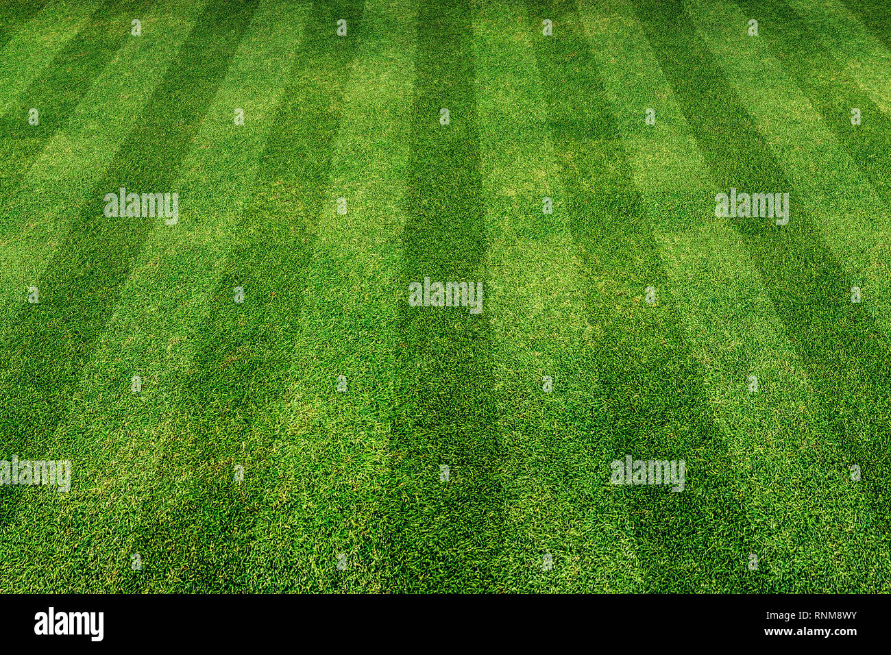 Gras und linie -Fotos und -Bildmaterial in hoher Auflösung – Alamy
