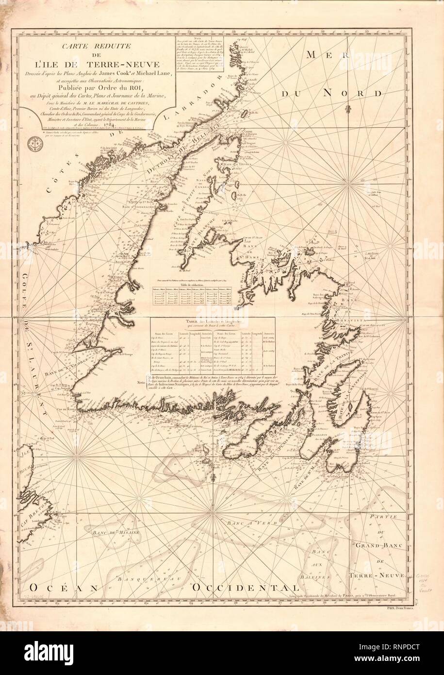 De terre neuve -Fotos und -Bildmaterial in hoher Auflösung – Alamy