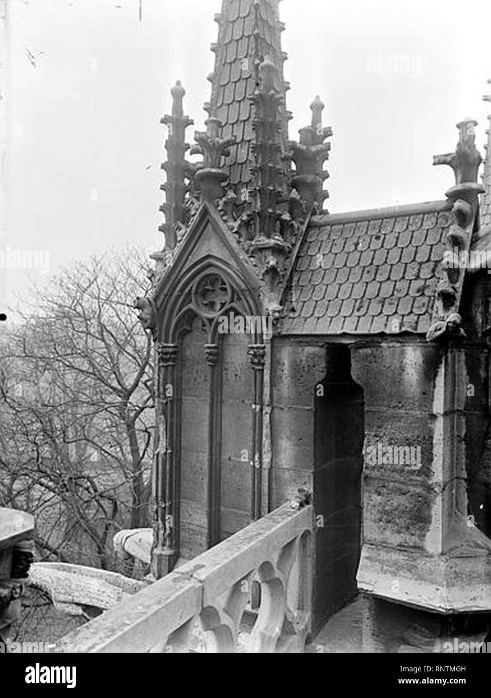 Cathédrale Notre-Dame-Pinacle de la façade sud Détail montrant l ...