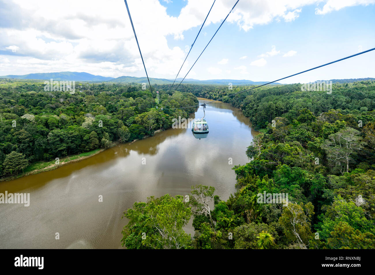 Gondel der Skyrail Rainforest Cableway über den Barron River, Cairns ...