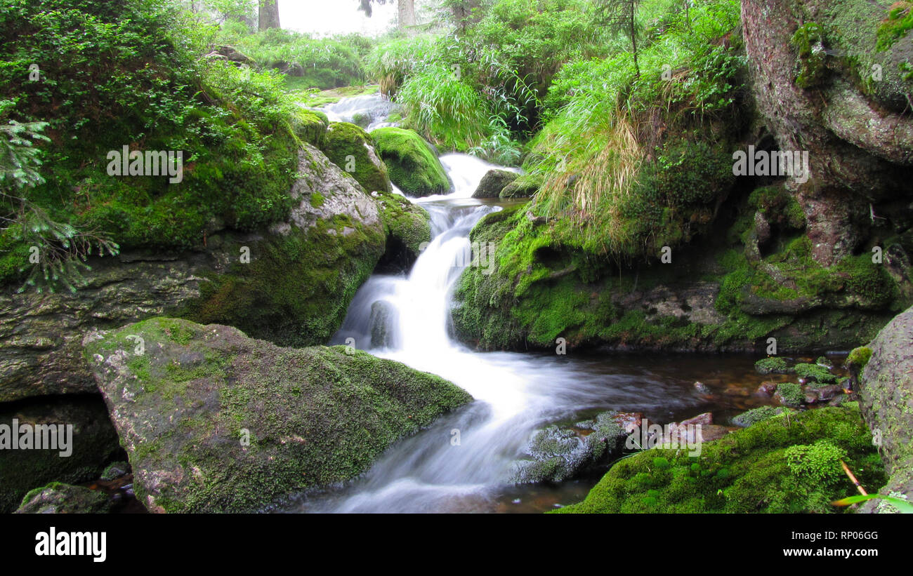 Der bayerische wald -Fotos und -Bildmaterial in hoher Auflösung – Alamy