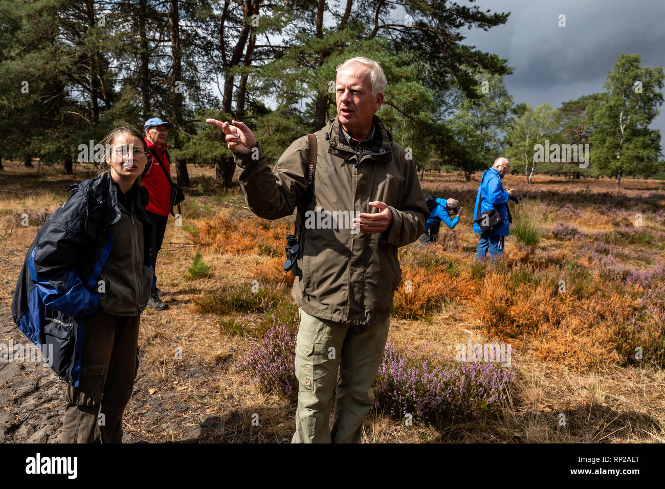 Dr heidebluete -Fotos und -Bildmaterial in hoher Auflösung – Alamy