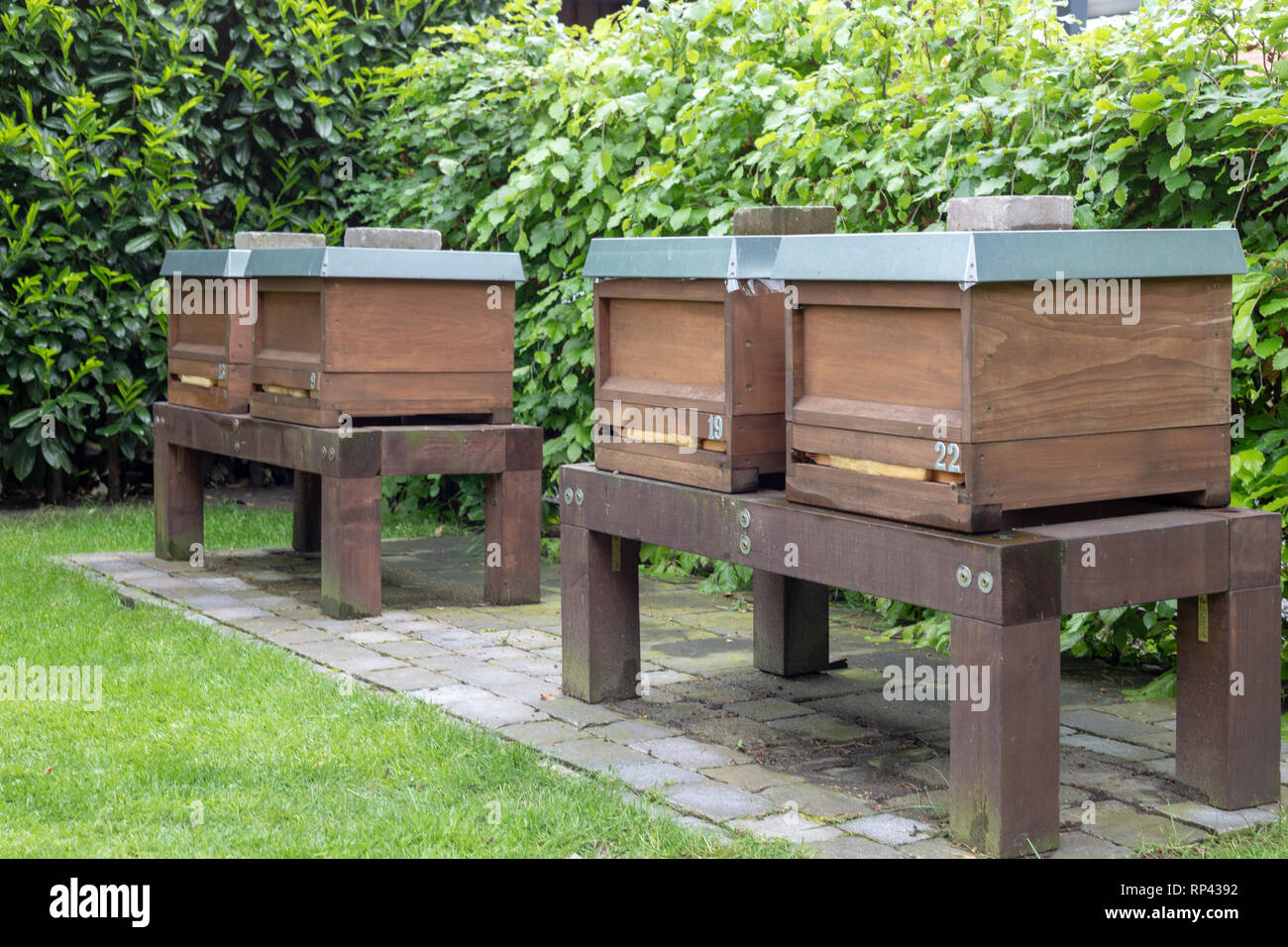 Bienenstöcke stadt -Fotos und -Bildmaterial in hoher Auflösung – Alamy