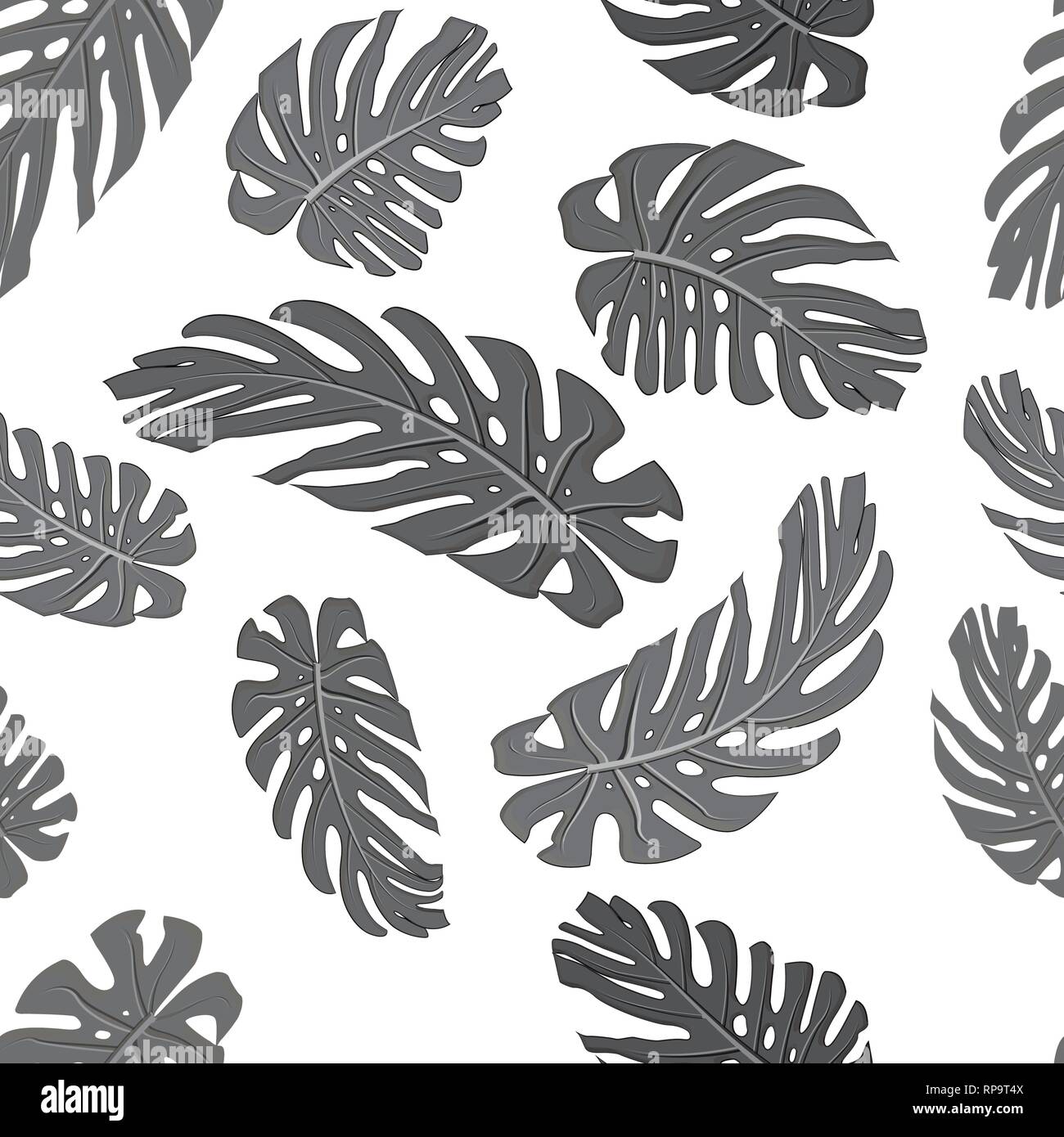 Monstera Vektor Vektoren Stockfotos und -bilder Kaufen - Alamy