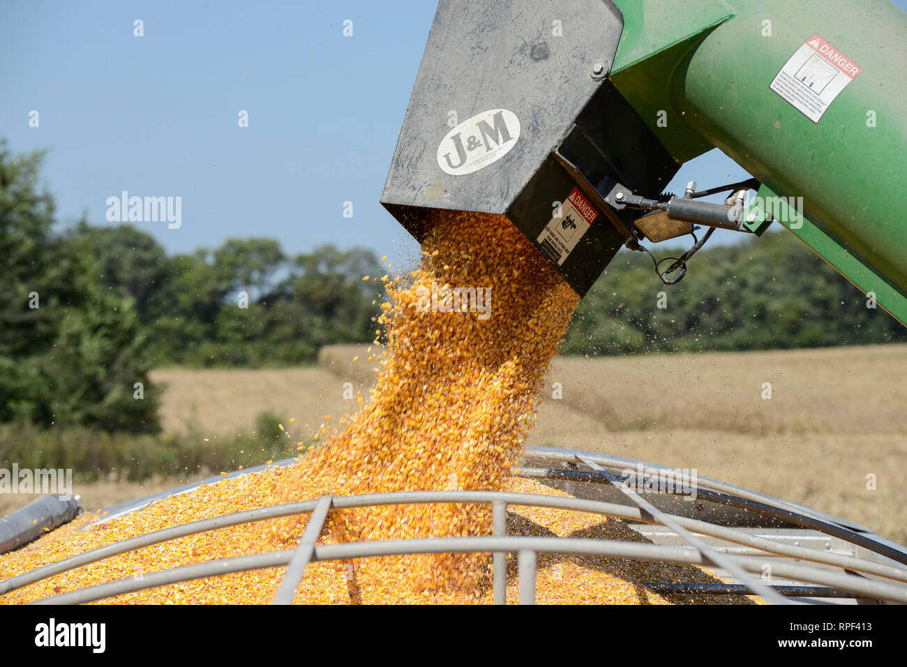 Vieh Maisernte Stockfotos und -bilder Kaufen - Alamy