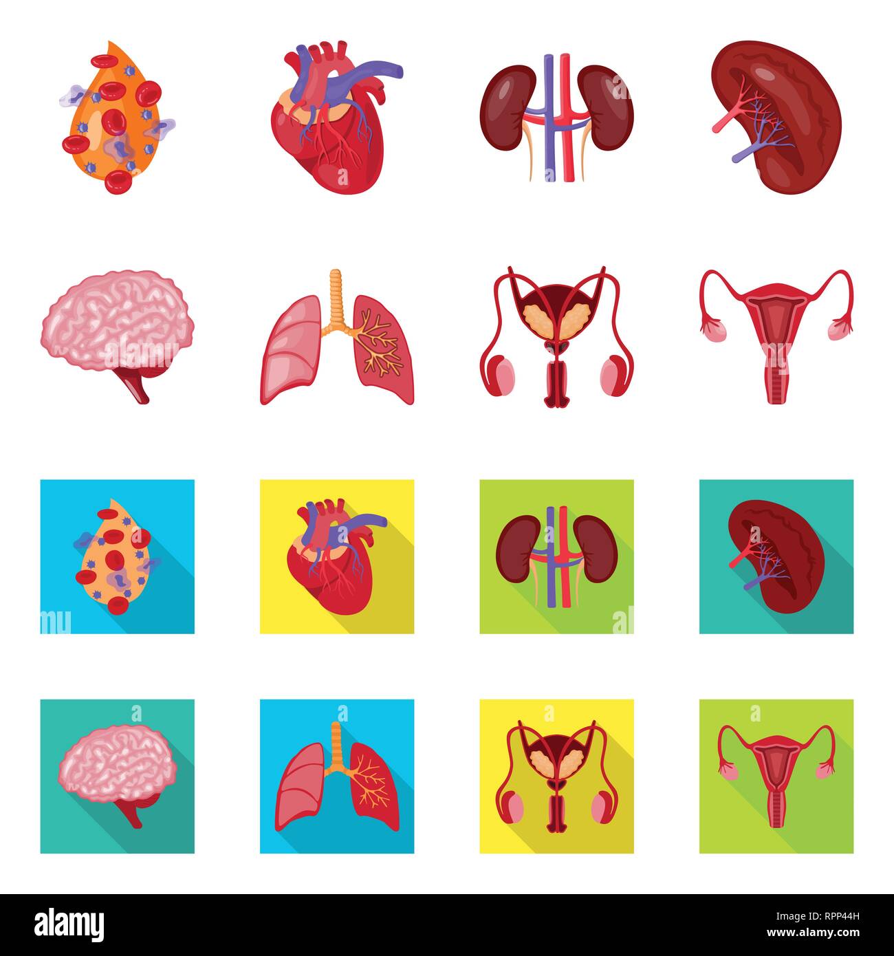 Blut, Herz, Nieren, Gehirn, Lunge, Urin, Plasma, Kardiologie, Geist ...