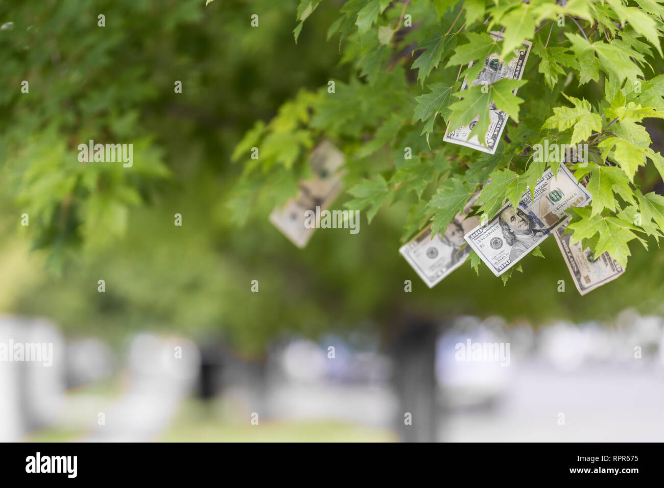 Metapher geldmanagement -Fotos und -Bildmaterial in hoher Auflösung – Alamy