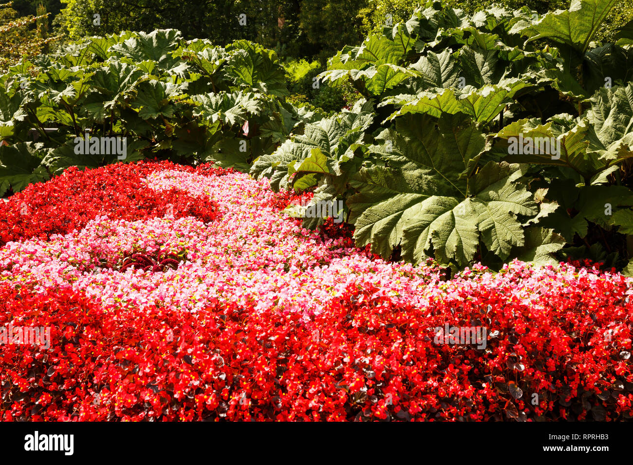 Park hamburg blumen -Fotos und -Bildmaterial in hoher Auflösung – Alamy