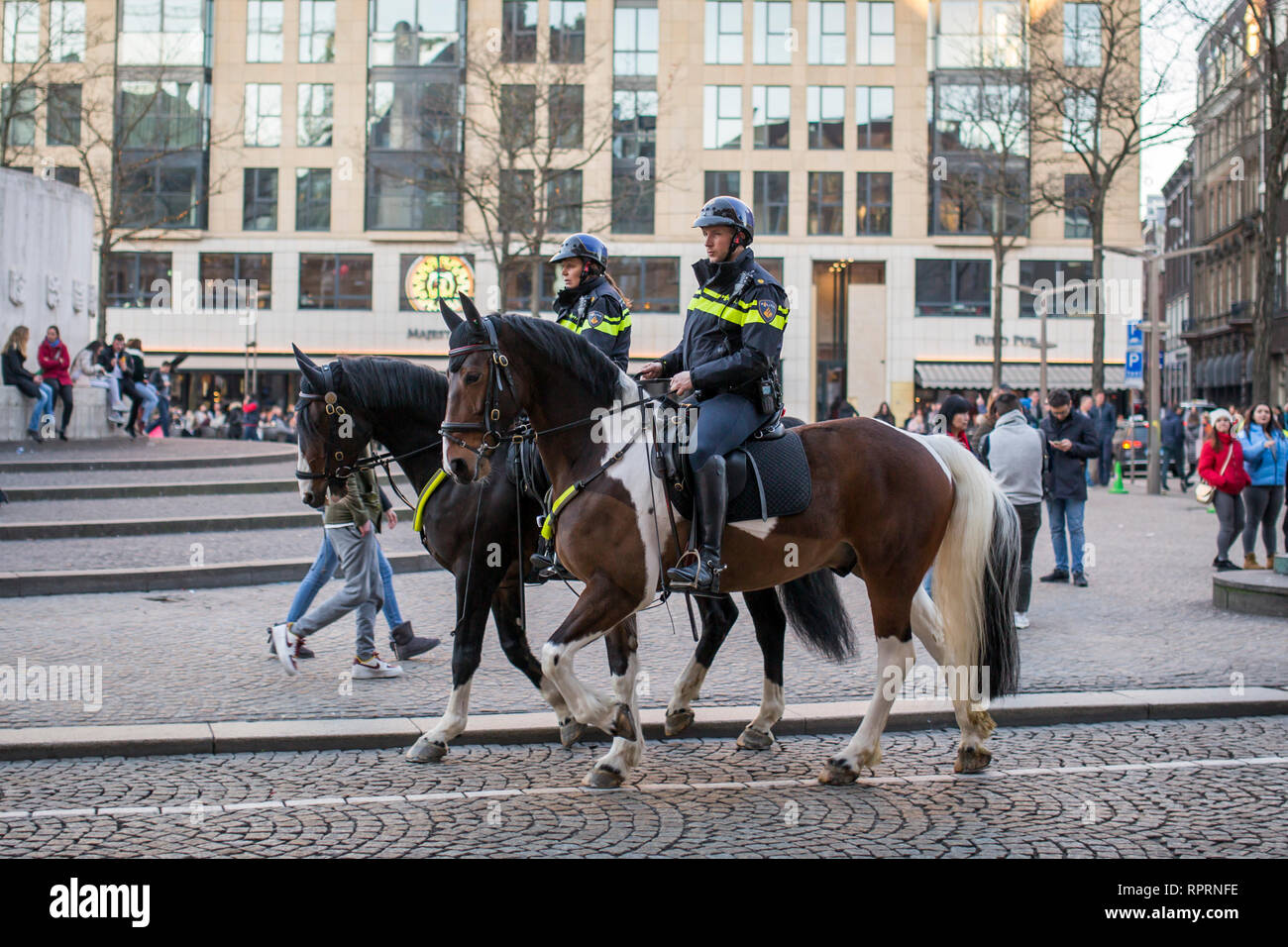 Horse mounted woman police officers -Fotos und -Bildmaterial in hoher ...