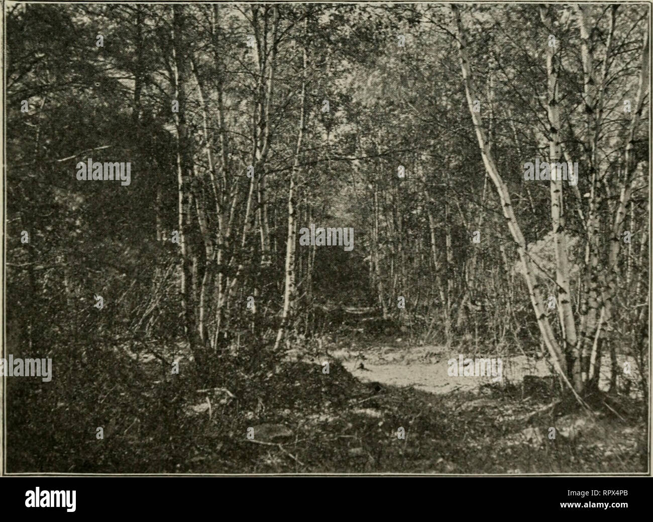 . Landwirtschaft von Maine: ... Jahresbericht der EU-Kommissar für ...