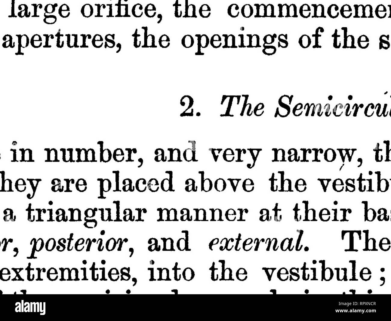 Membrana tectoria -Fotos und -Bildmaterial in hoher Auflösung – Alamy