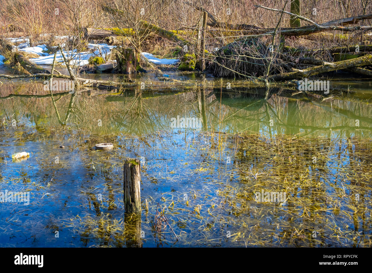 Bodensee bereich -Fotos und -Bildmaterial in hoher Auflösung – Alamy