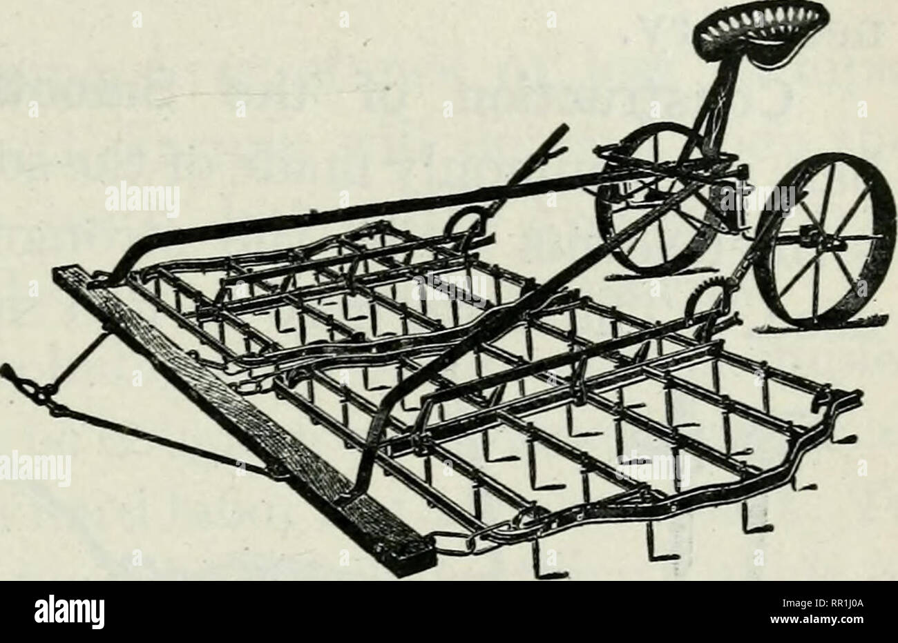 Gemeine eggen -Fotos und -Bildmaterial in hoher Auflösung – Alamy