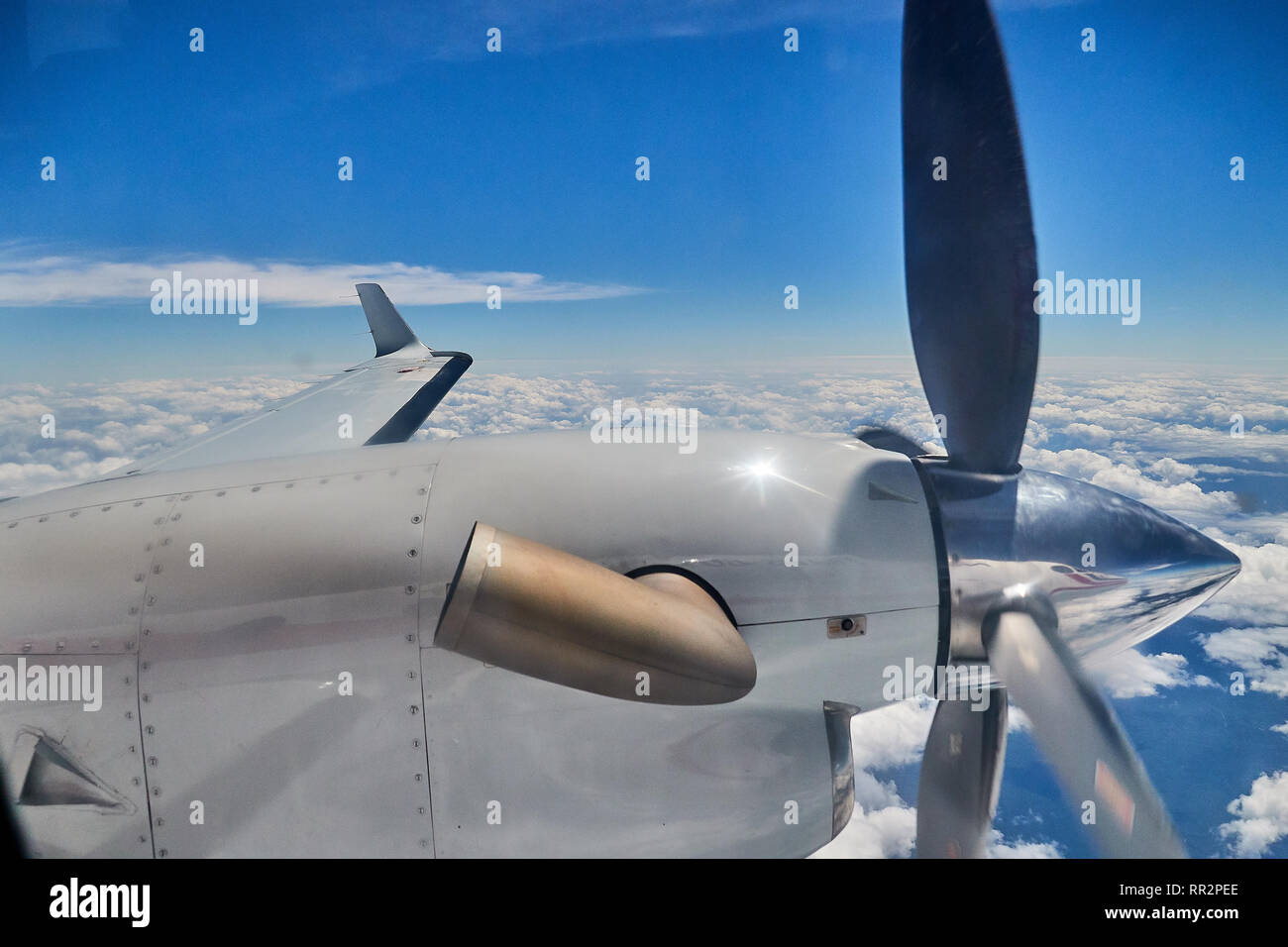 Jet wing im flug -Fotos und -Bildmaterial in hoher Auflösung – Alamy