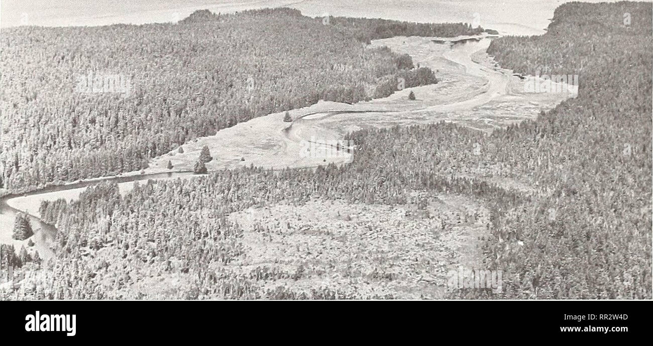 . Admiralty Island vorläufige Richtlinien. . Wheeler Creek, Hawk Inlet ...