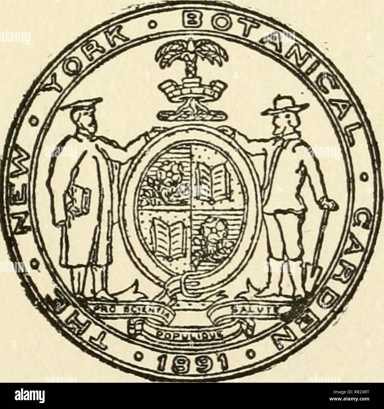 . Addisonia: farbige Abbildungen und Beschreibungen der Pflanzen ...