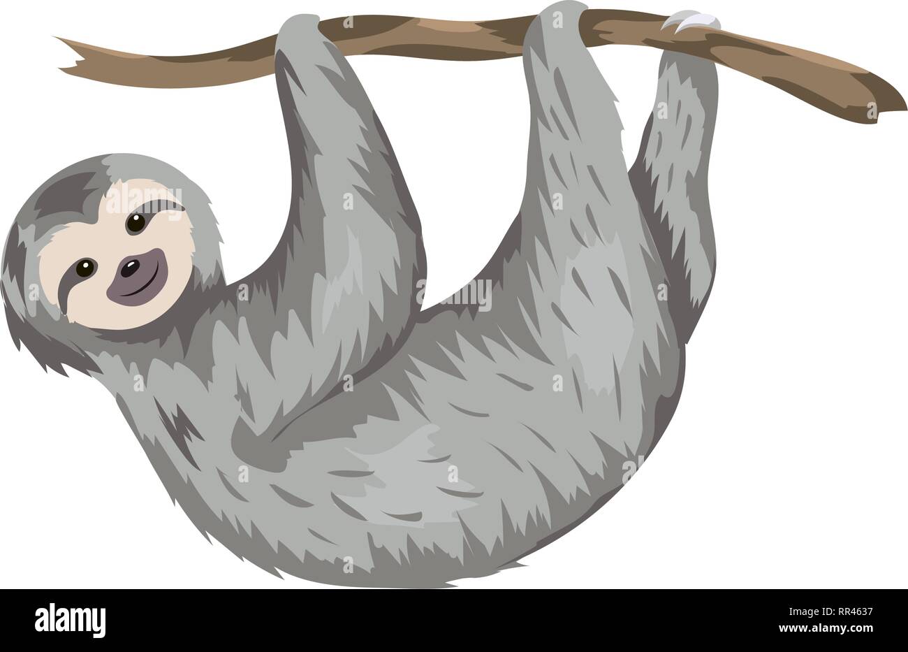 Faultier cartoon -Fotos und -Bildmaterial in hoher Auflösung – Alamy