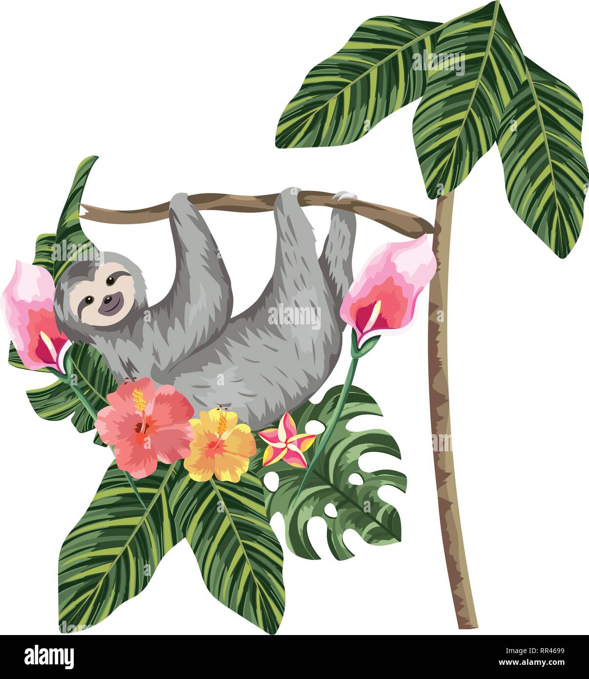 Faultier cartoon -Fotos und -Bildmaterial in hoher Auflösung – Alamy