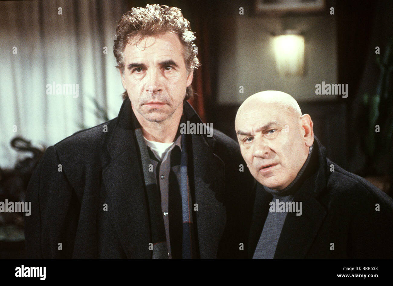 Wolf roth -Fotos und -Bildmaterial in hoher Auflösung – Alamy