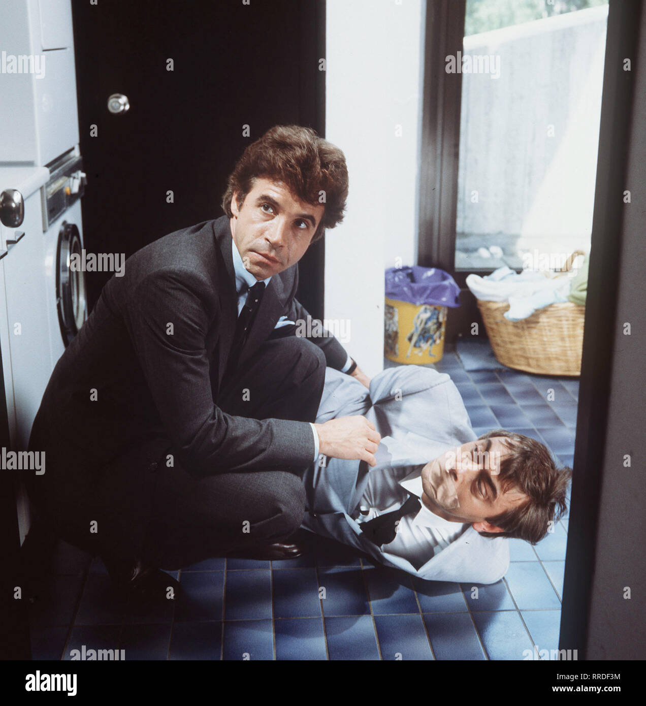 Wolf roth -Fotos und -Bildmaterial in hoher Auflösung – Alamy